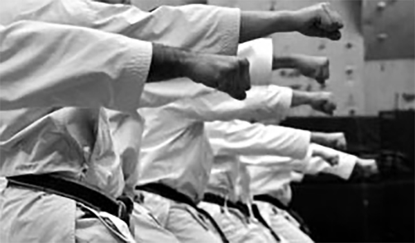 Genbu-Kai Organization | genbukai.org - Information