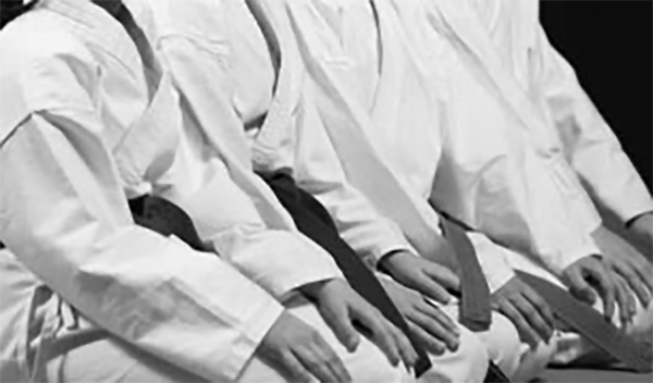 Genbu-Kai Organization | genbukai.org - Information